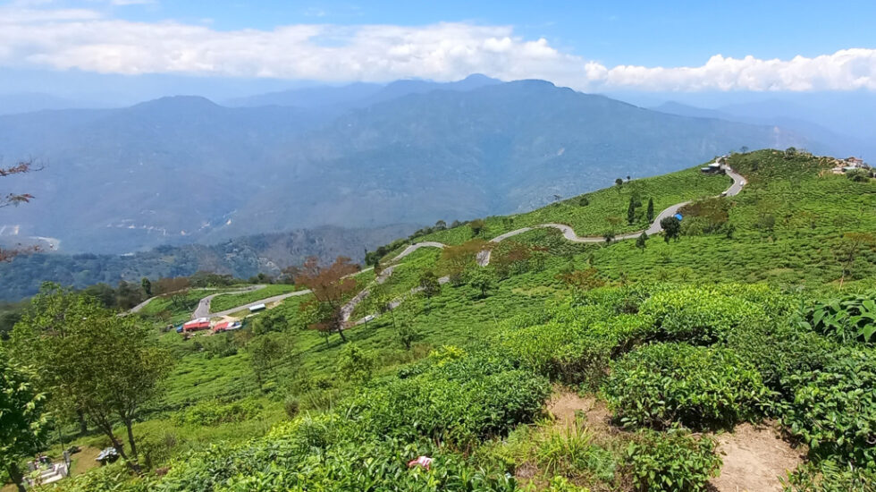 Gumbadara View Point | Lamahatta - Yangdup Homestay